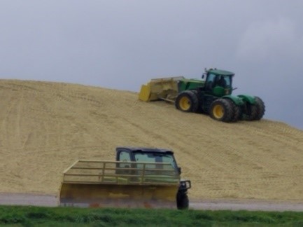 Determining the Tons of Silage in Piles for CFAP - Priya Mukherjee