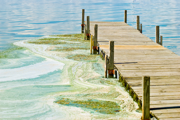 Linking hydrology and economics to assess the social cost of water ...